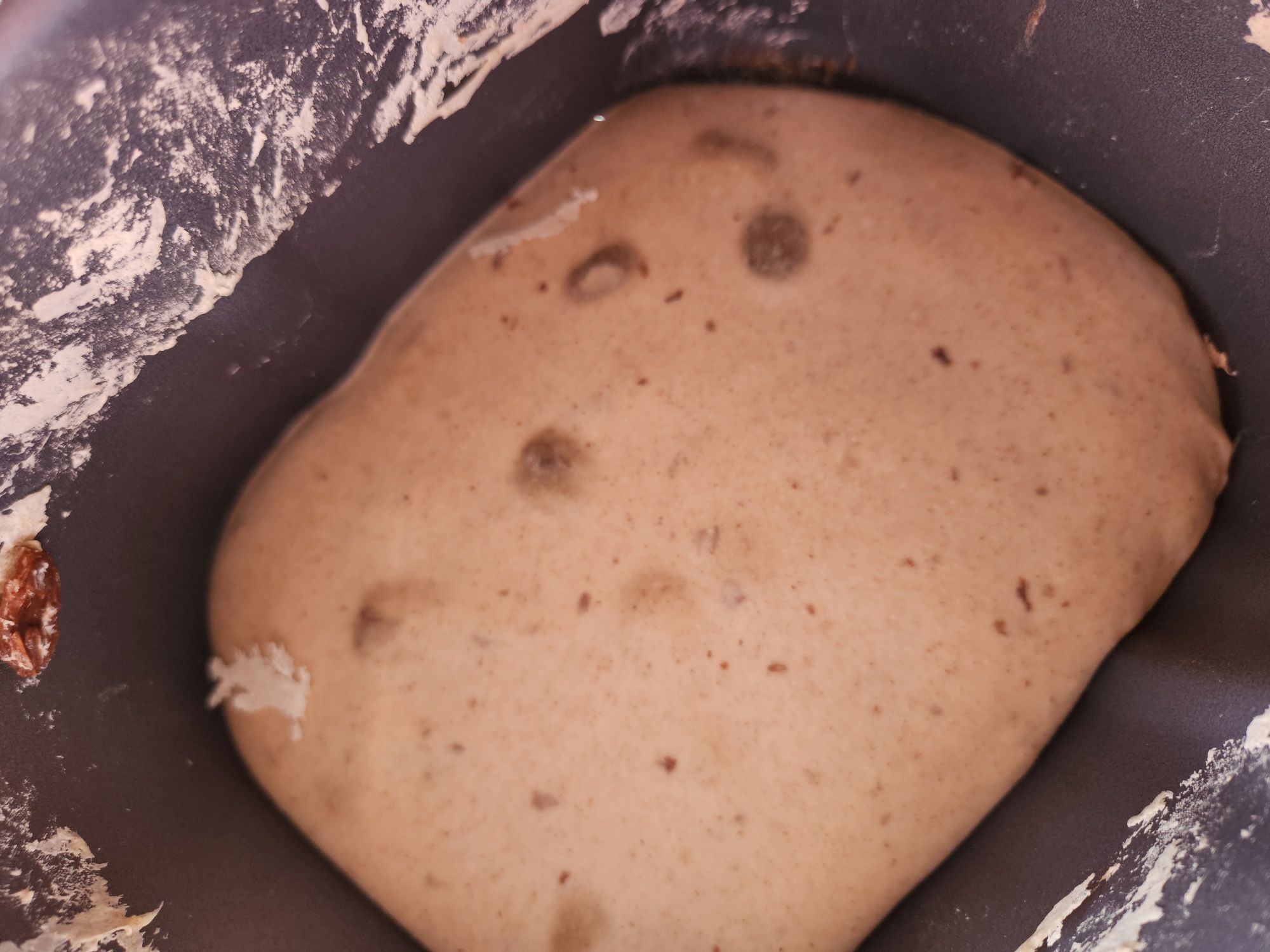 Bread machine sourdough cinnamon raisin bread – Hill Road Homestead