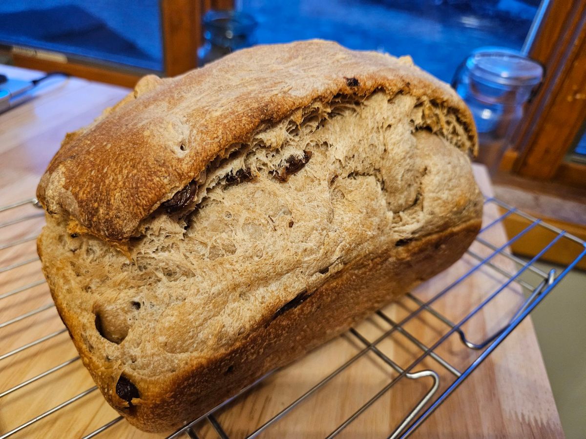 Bread machine sourdough cinnamon raisin bread – Hill Road Homestead